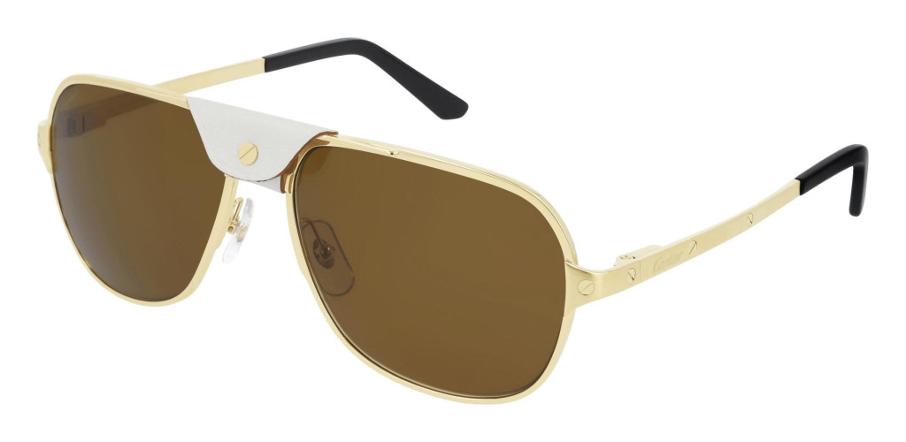 Cartier Core Range CT0165S | Lens and Frames