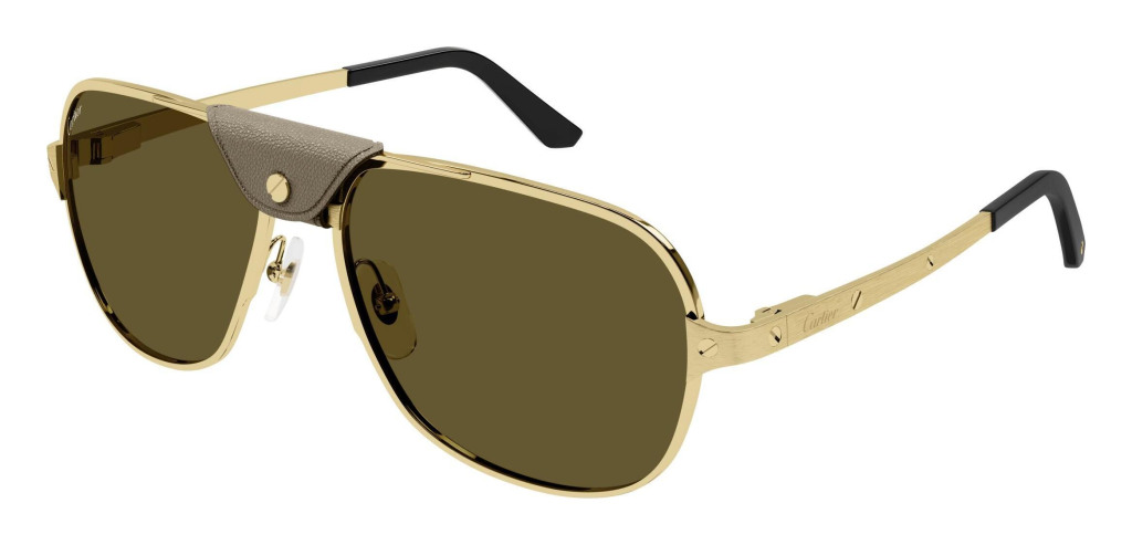 Cartier Ct0165s | Lens and Frames