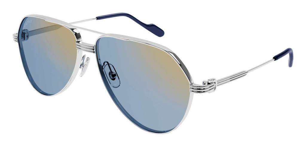 Cartier Core Range CT0303S | Lens and Frames