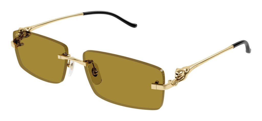 Cartier Core Range CT0430S | Lens and Frames