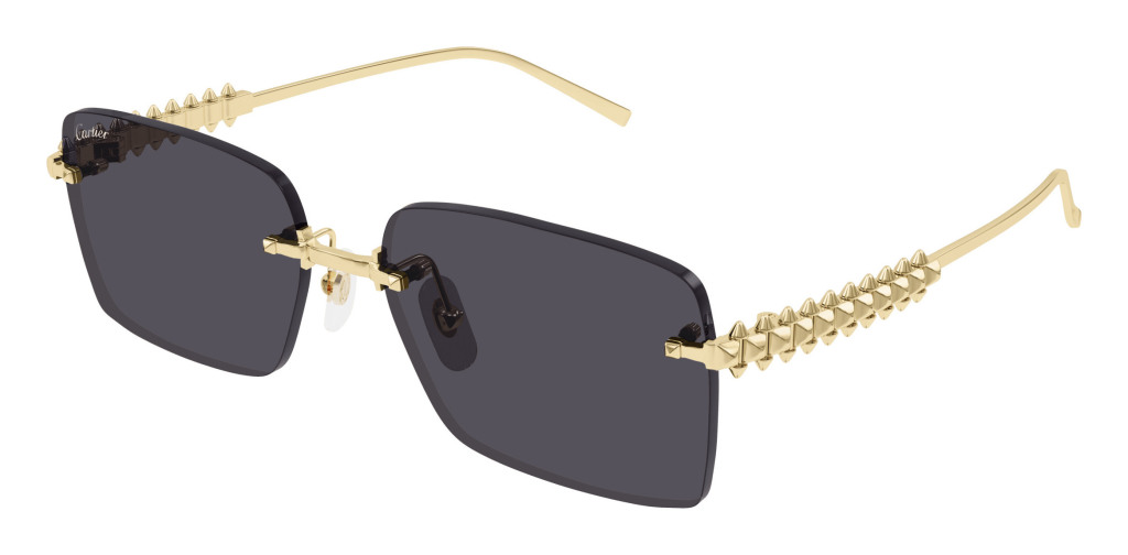 Cartier Exception CT0545S | Lens and Frames
