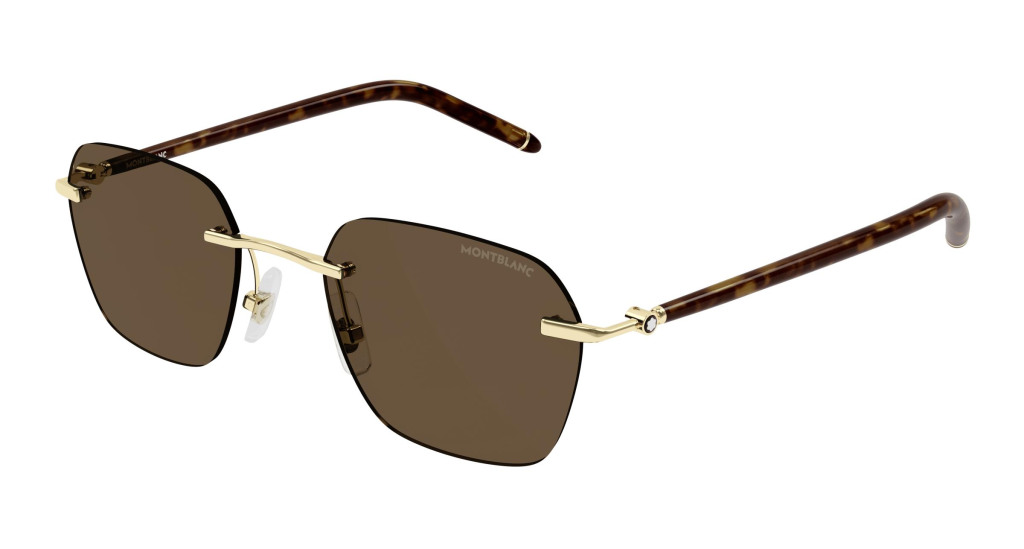 Montblanc Established MB0270S | Lens and Frames