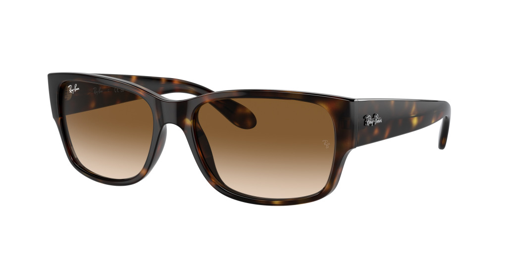 Ray-ban RB4388 | Lens and Frames