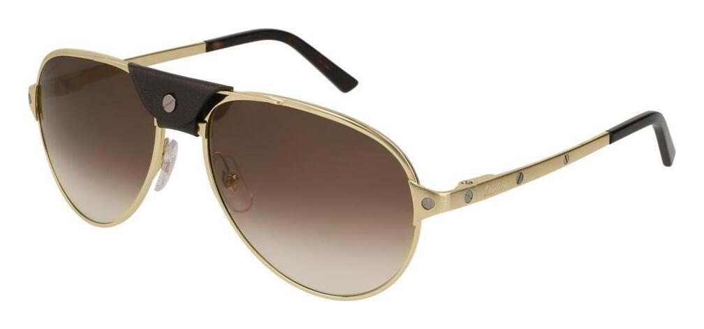 Cartier Core Range CT0034S | Lens and Frames