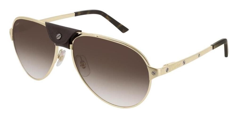 Cartier Core Range CT0034S | Lens and Frames