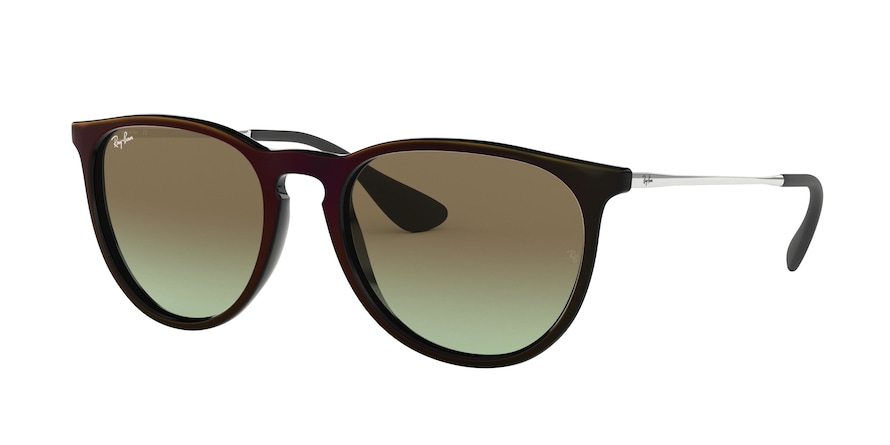 Ray-ban RB4171 ERIKA - VCS Rx Eyewear