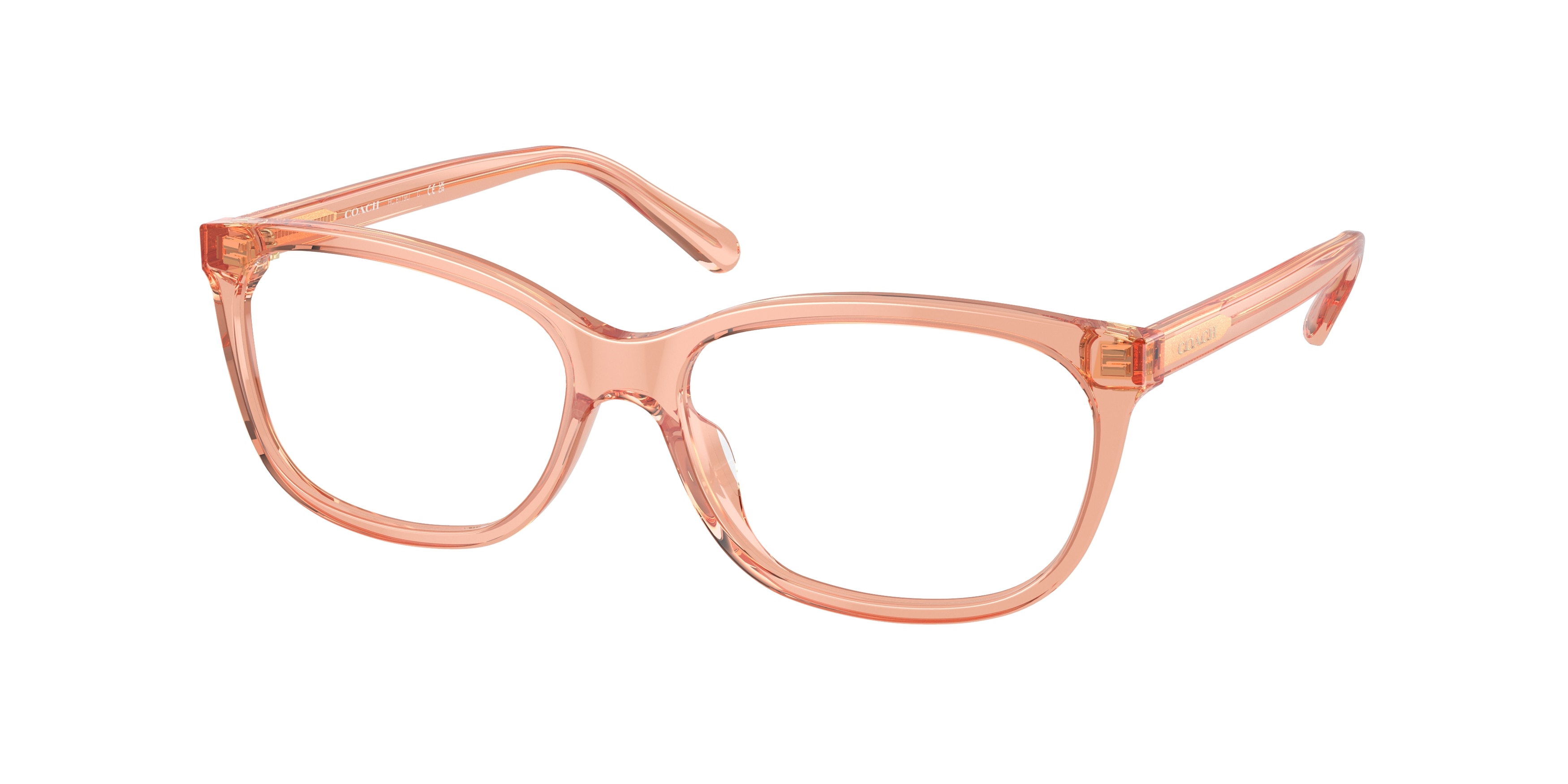 Buy Coach Transparent Saddle Glasses Online - Sunglasses.ie