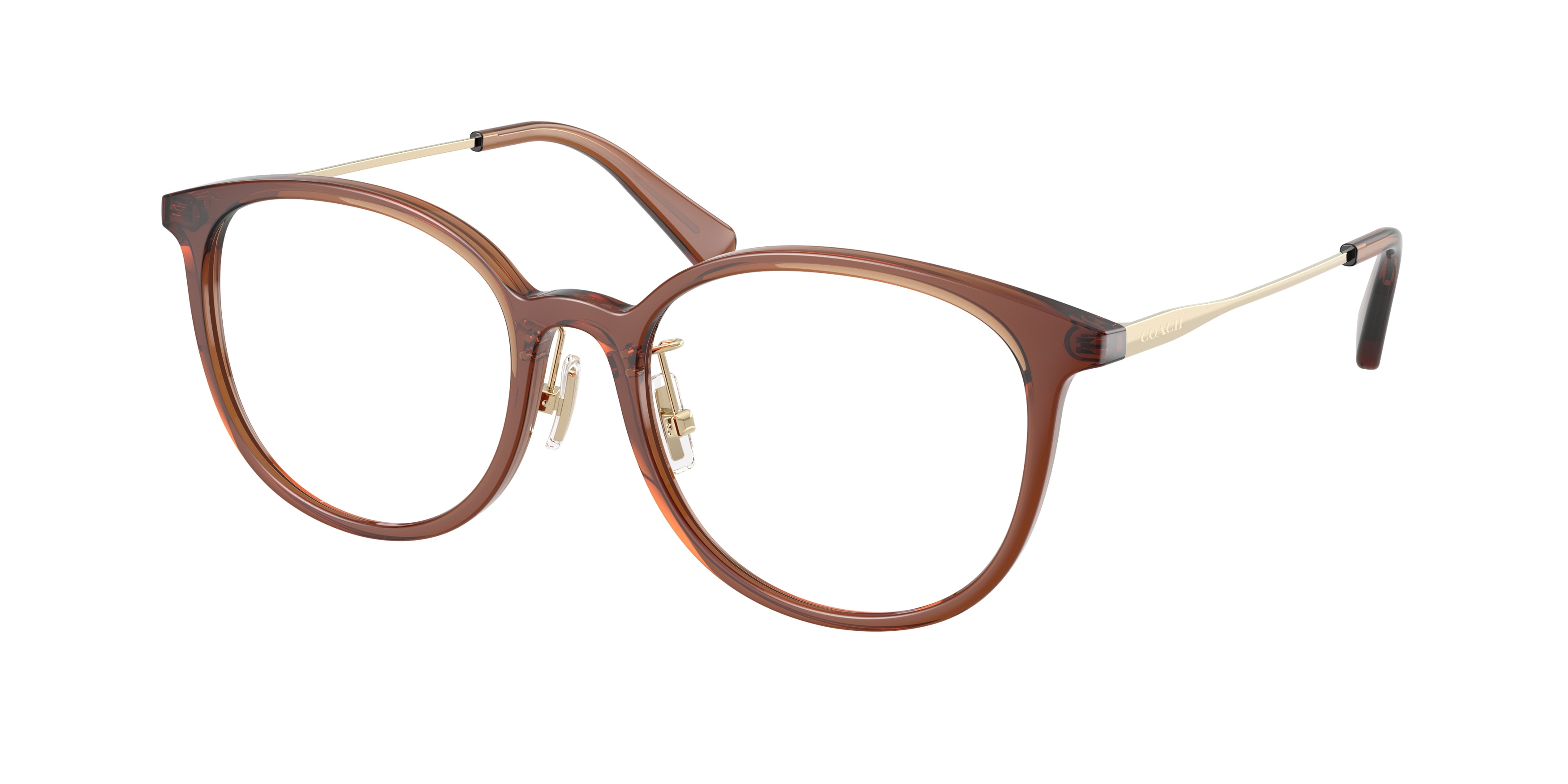 Buy Coach Transparent Brown Glasses Online - Sunglasses.ie